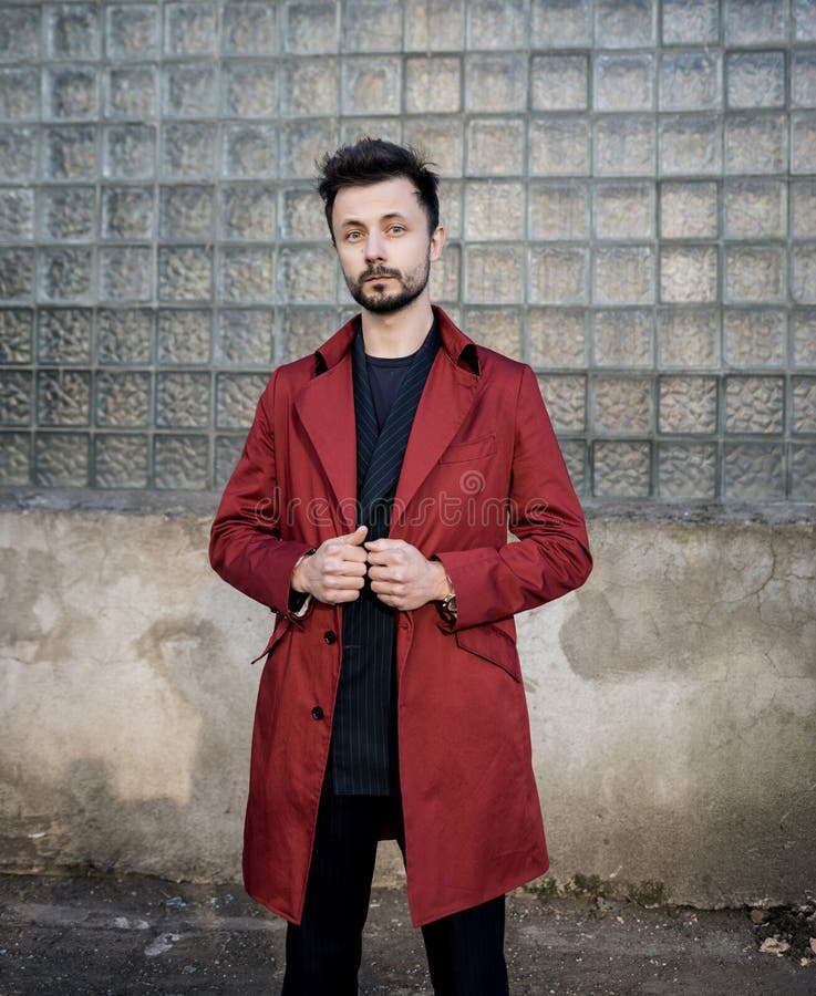 Handsome successful man stock photo. Image of coat, town - 235233330