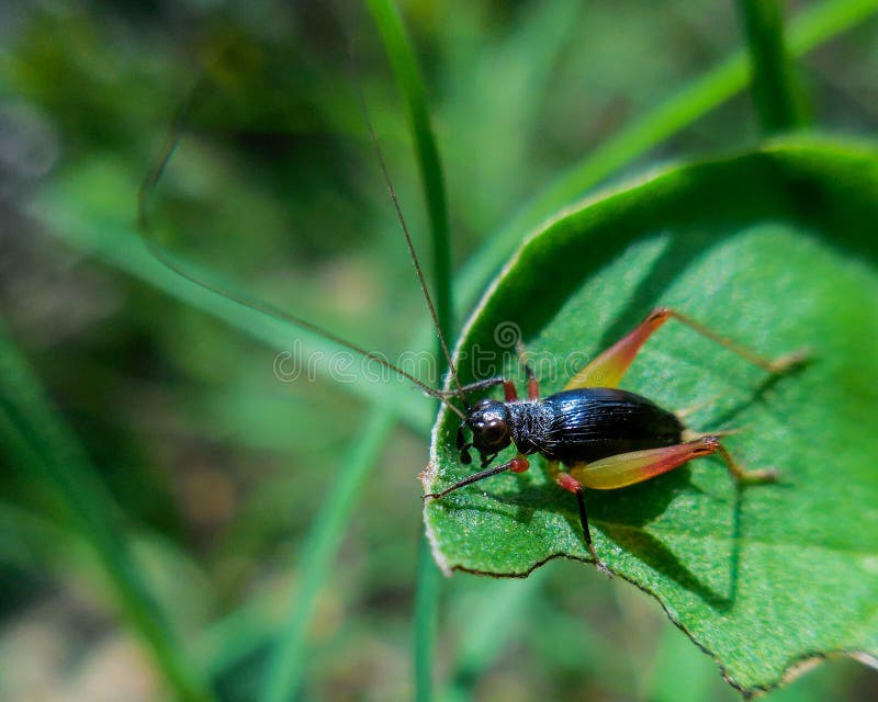 Handsome Trig Stock Photos - Free & Royalty-Free Stock Photos from ...