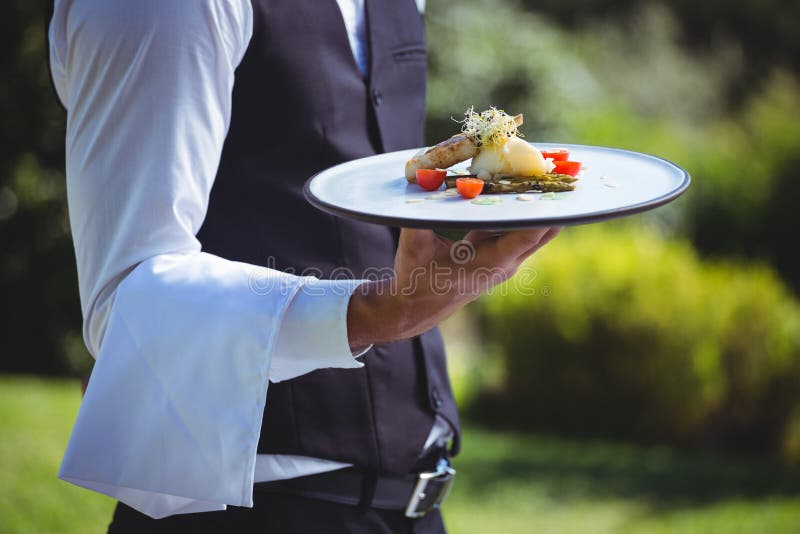 Handsome Waiter Holding a Plate Stock Image - Image of cooked ...