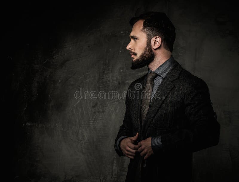 Handsome well-dressed man stock image. Image of lifestyle - 47003541