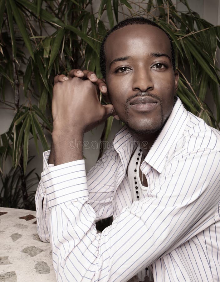 Handsome man with a goatee stock image. Image of shoulders - 14428227