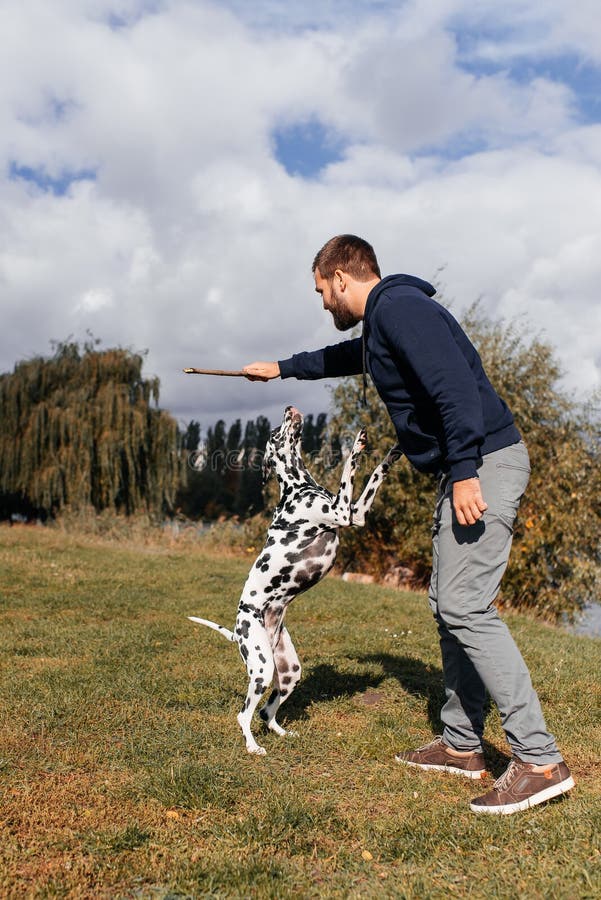 Handsome Young Man with Dog Outdoors. Man on the Green Grass with a Dog ...