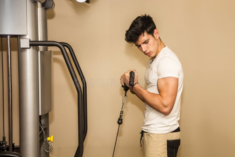 Handsome Young Man Exercising Biceps on Gym Stock Image - Image of ...