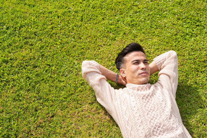 Handsome Young Man Laying Down on Grass during Summer at Park Stock ...