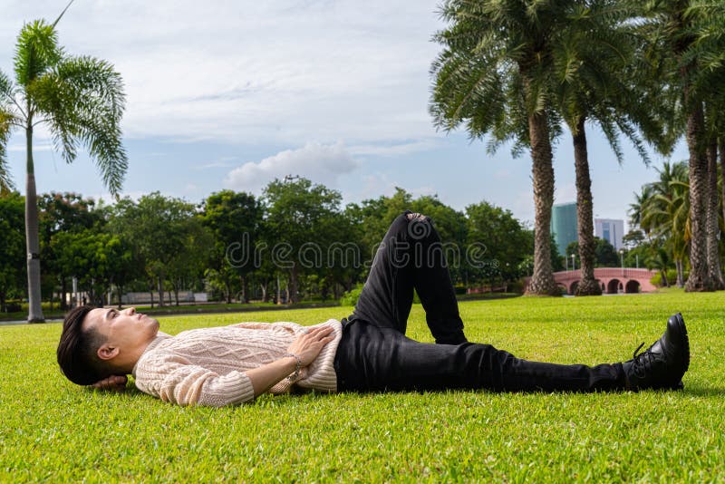 Handsome Young Man Laying Down on Grass during Summer at Park Stock ...