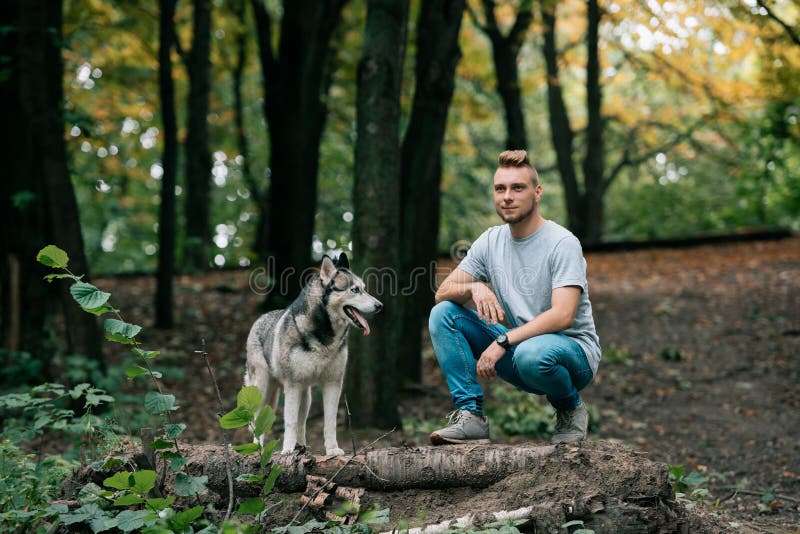 Handsome Young Man Walking with Siberian Husky Dog Stock Image - Image ...