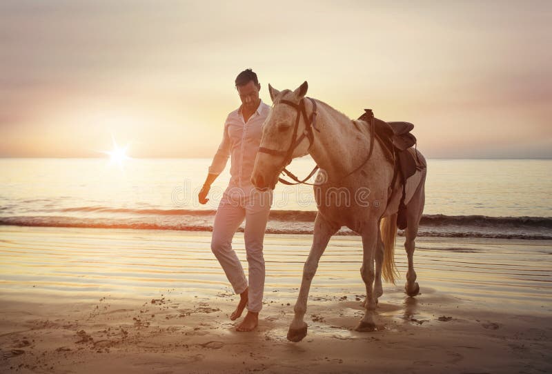 Handsome, Young Man Walking with a Stallion Alongside the Coast Stock ...