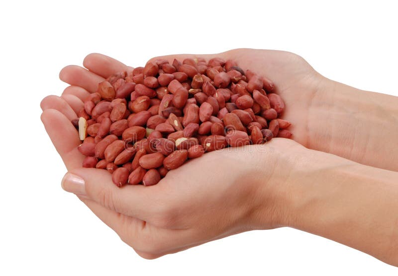 Handvol Van Pinda, Ruwe Noten, Stock Afbeelding - Image of macro, boon ...