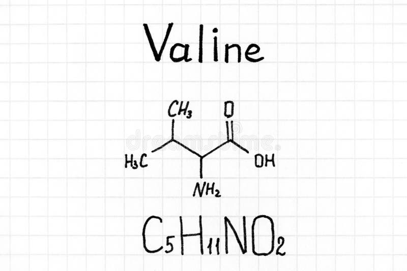C5H11NO2 Valine Amino Acid Molecule Stock Vector - Illustration of ...