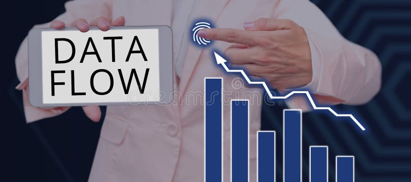 Conceptual Display Data Flow. Business Approach the Movement of Data through a System Comprised ...