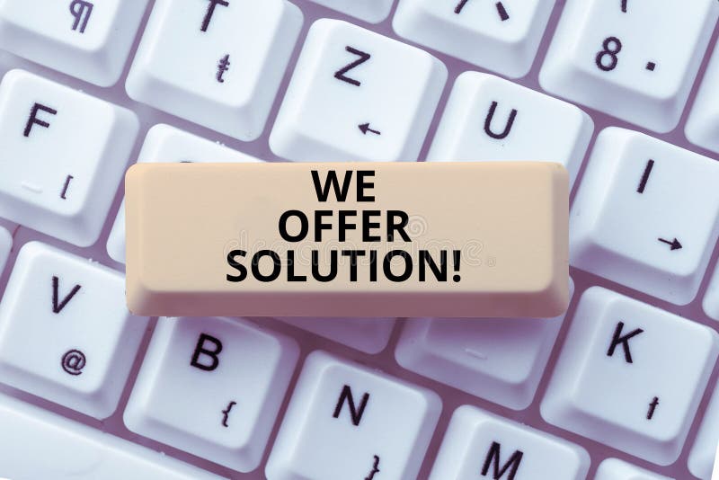 Conceptual Display we Offer Solution. Business Overview Give Means of ...