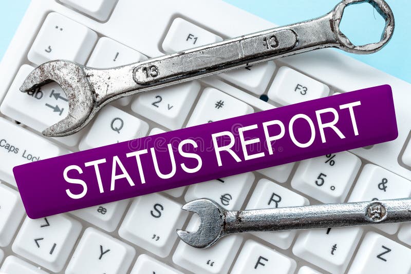 Conceptual Display Status Report. Word for Update Summary of Situations ...