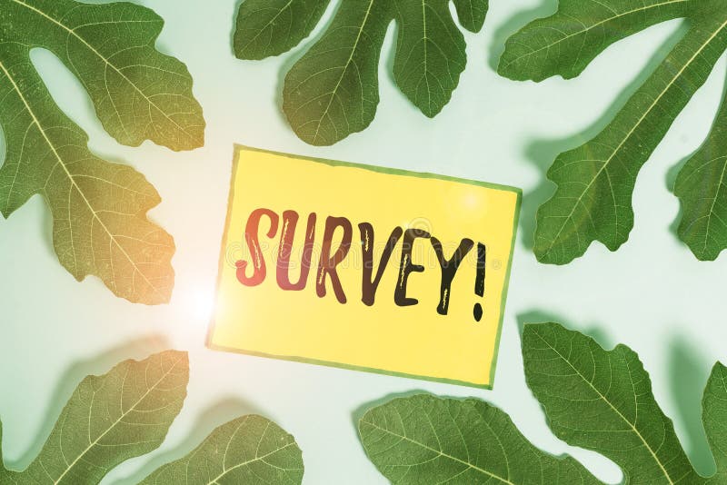 Handwriting Text Survey. Concept Meaning Research Method Used for ... Handwriting Text Survey. Concept Meaning Research Method Used for ...