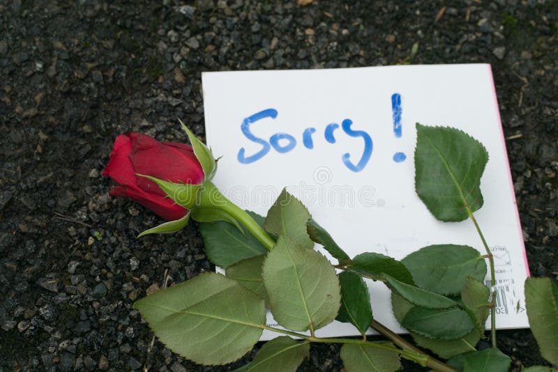 Handwritten Apology Note and a Red Rose on the Ground Stock Photo ...