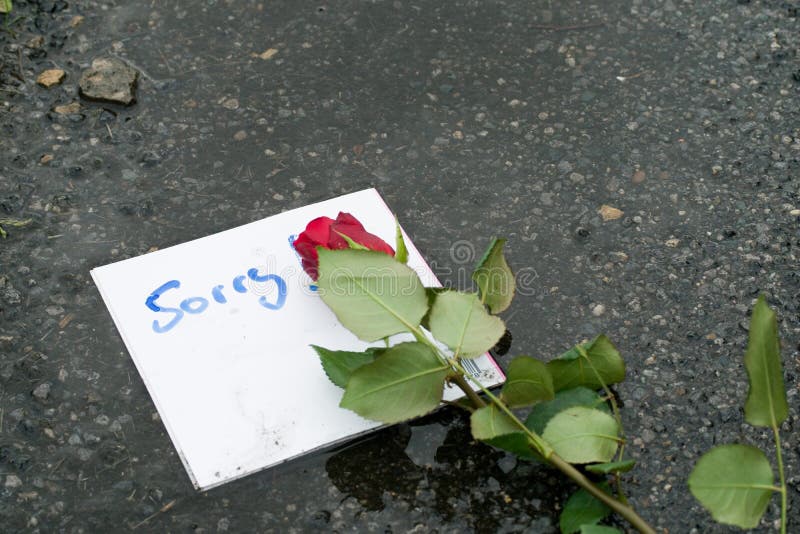 Handwritten Apology Note and a Red Rose on the Ground Stock Photo ...