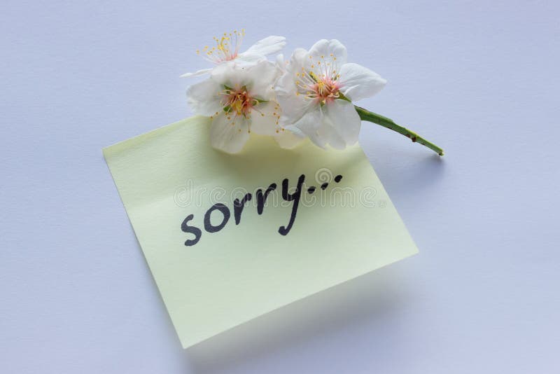 Handwritten Note - Sorry. Small Delicate White Flowers of Almon Stock ...
