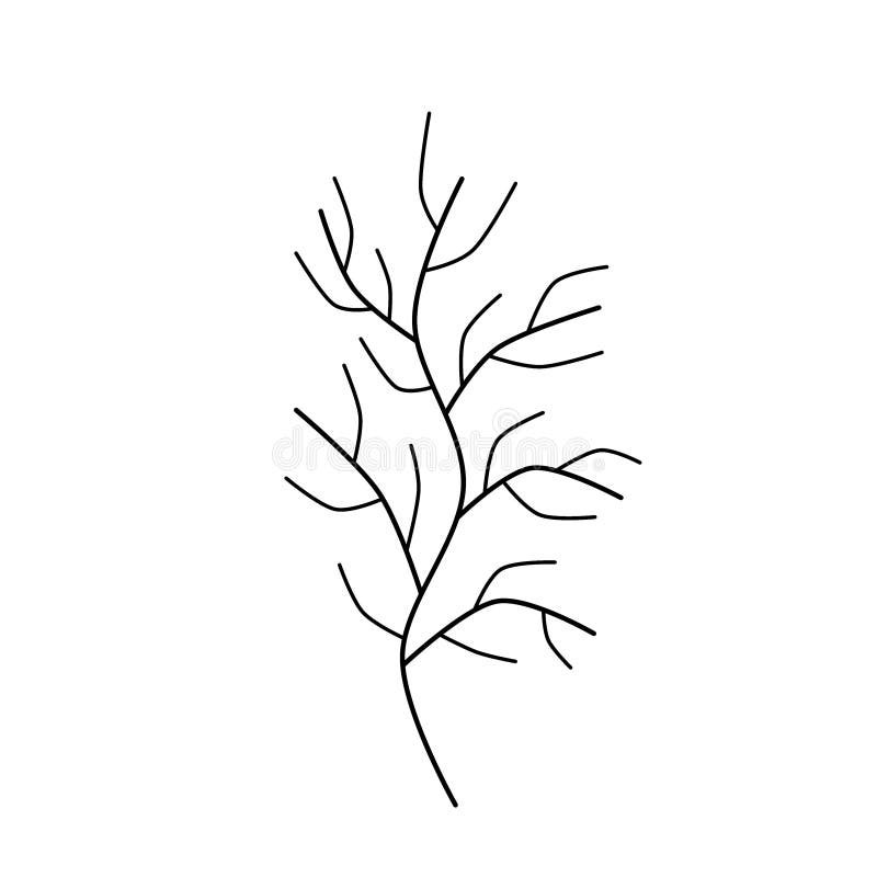 A Set of Simple Twigs, Wild Grass. Stock Vector - Illustration of ...