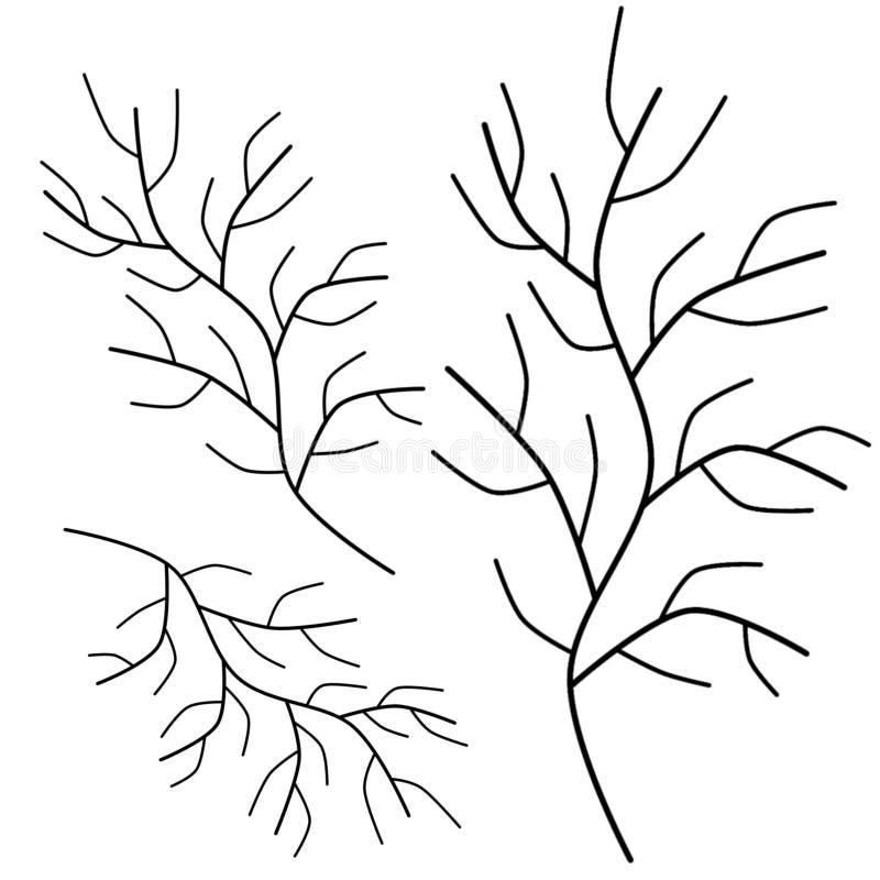 Simple Twigs and Doted Flower Logo Stock Vector - Illustration of drawn ...