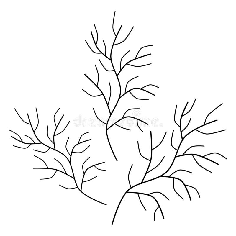 A Handwritten Set of Simple Twigs on a White Background. a Set of ...