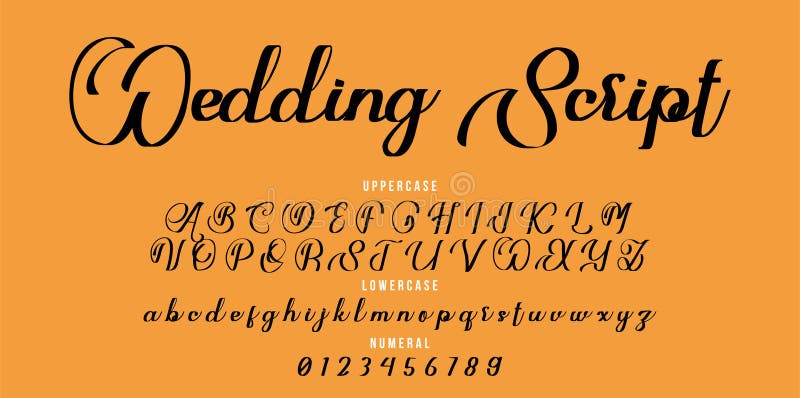 Handwritten Wedding Script Font. Brush Font Vector Illustration ...