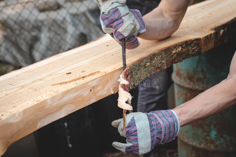 Handy Woodcutter Prepares Larch Wood for Later Processing. Planing Wood ...