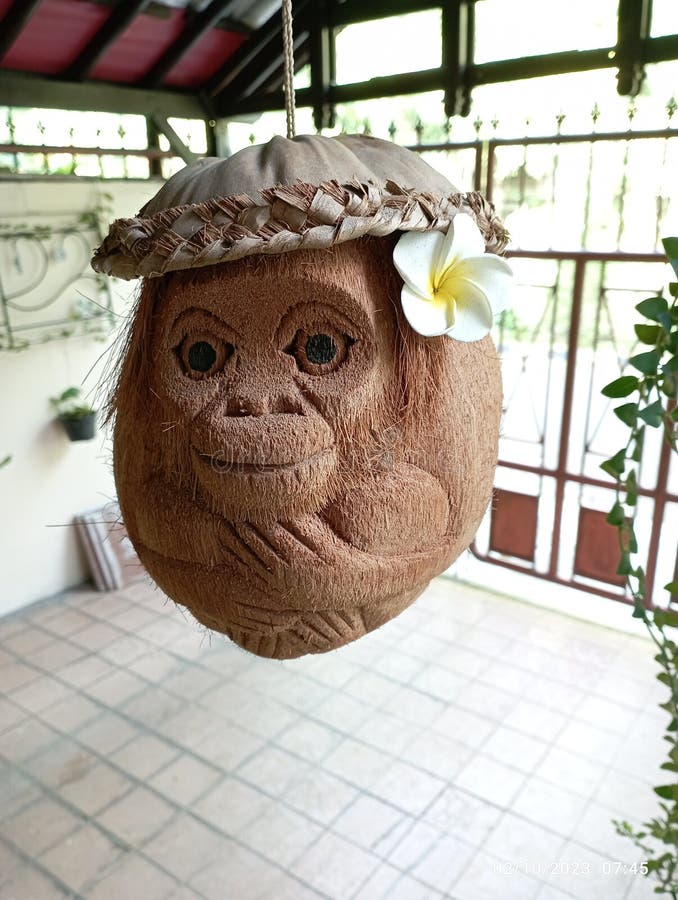 Handycraft Real Coconut Cute Monkey Face Stock Photo - Image of produce ...
