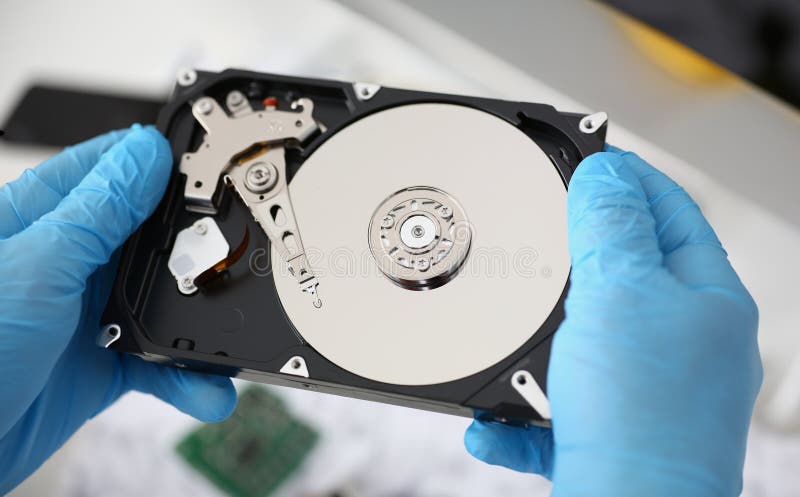 Handyman Hold Disassembled Hard Drive from Computer, Hdd and Reader ...
