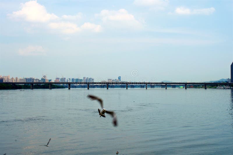 Hang River in Seoul in the Evening Stock Photo - Image of river ...