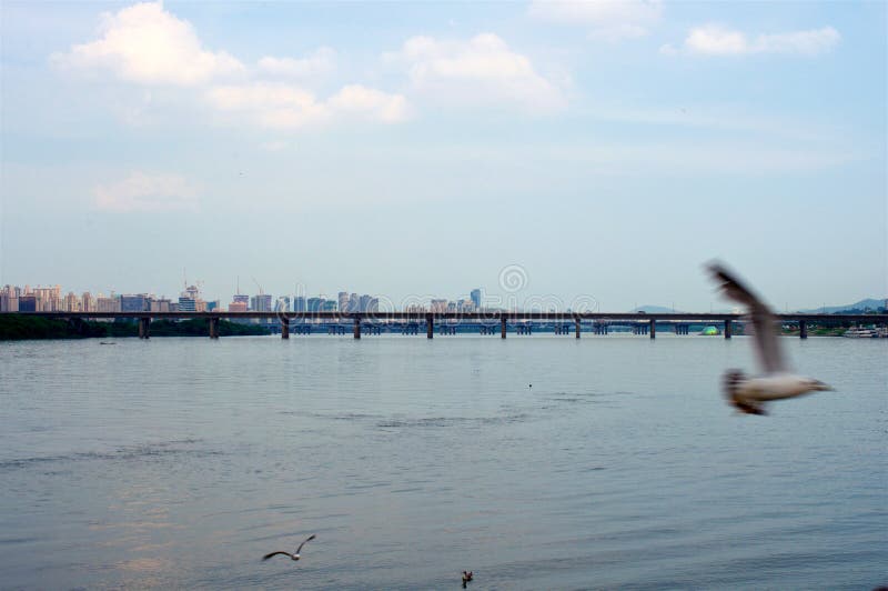 Hang River in Seoul in the Evening Stock Image - Image of modern ...