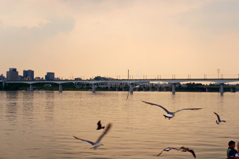 Hang River in Seoul in the Evening Stock Photo - Image of attraction ...