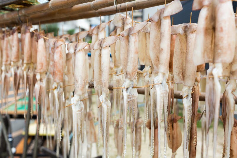 Hanging Squid For Dehydration Stock Image - Image of squid, hanging ...