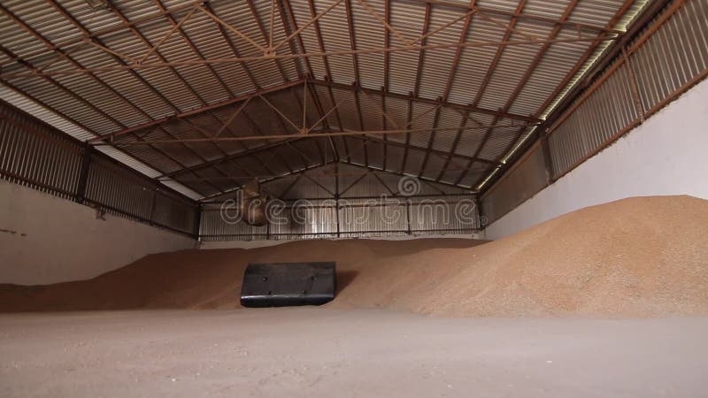 Hangar Storage with Wheat Grain Stock Footage - Video of action ...