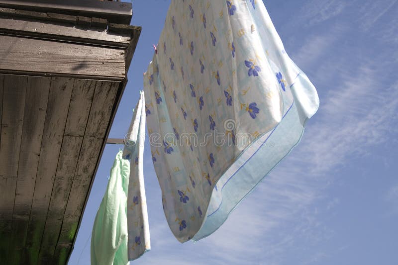 Hanged Out Picture. Image: 4527348