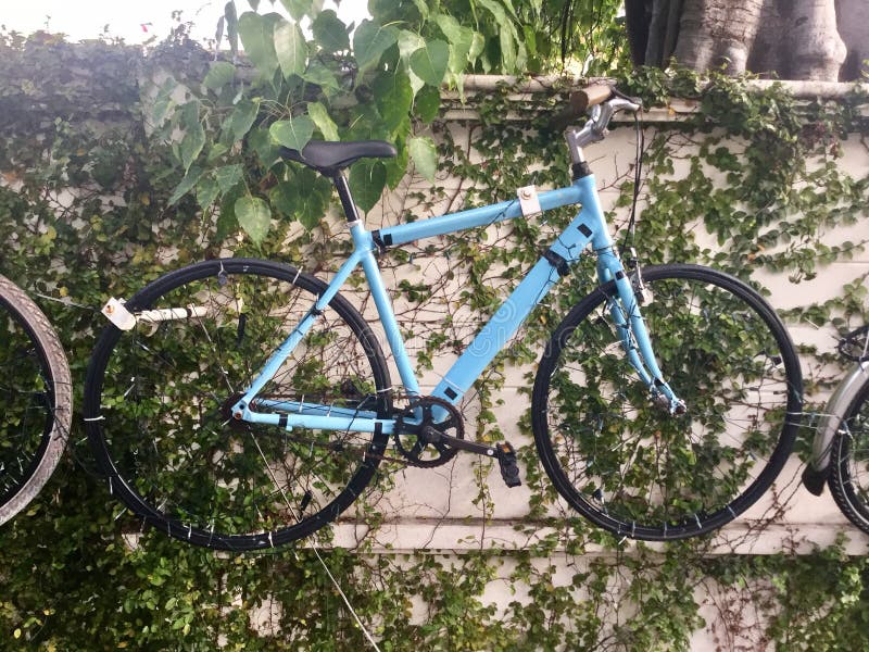 Hanged on Rope. Light Bike. Stock Image - Image of green, flyingbicycle ...