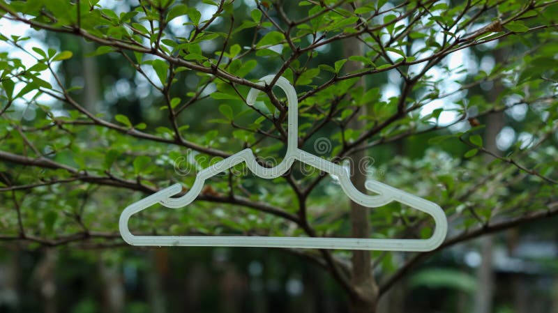 A hanger hanging on tree stock photo. Image of natural - 275378876
