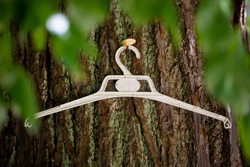 Hanger on a Tree - Ecological Stock Photo - Image of concept, nature ...