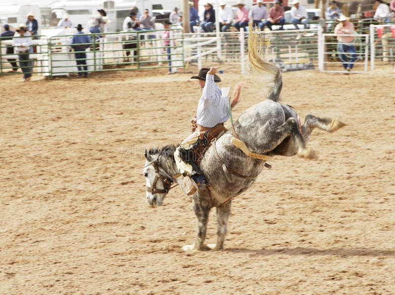 Hanging on stock photo. Image of ride, jeans, country, equestrian - 723672