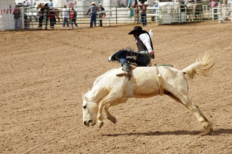 Hanging on stock image. Image of arena, bronc, jeans, leather - 723673