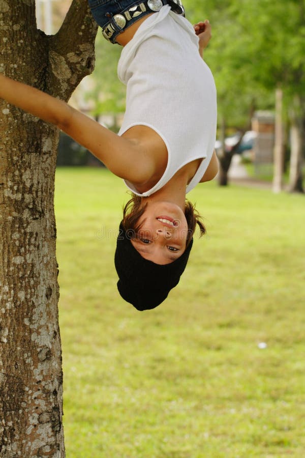 Hanging Around, Upside Down. Stock Photo - Image of nature, avian: 42884750