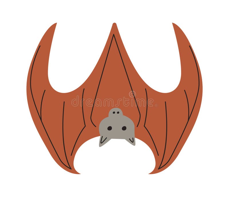 Hanging Bat Bird stock vector. Illustration of head - 274150091