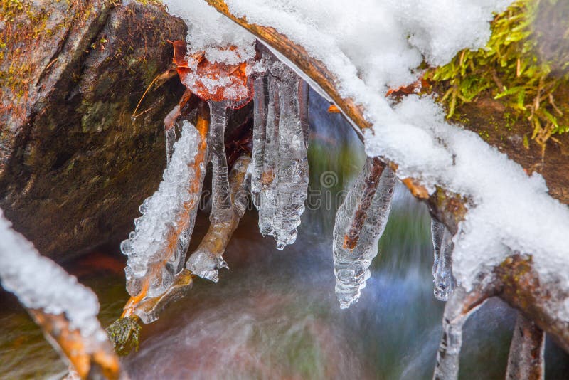 Hanging beautiful icicles stock image. Image of flowing - 67250545