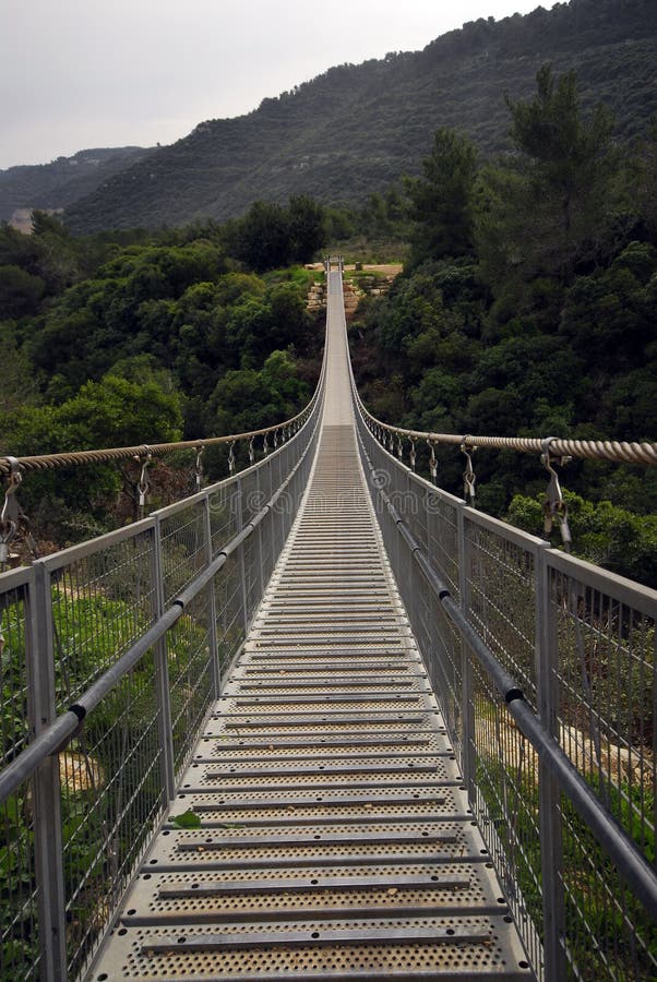 Hanging bridge stock image. Image of cables, hanging, brige - 8289315