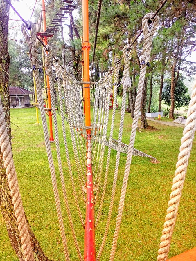 Hanging bridge stock photo. Image of summer, transport - 256296246