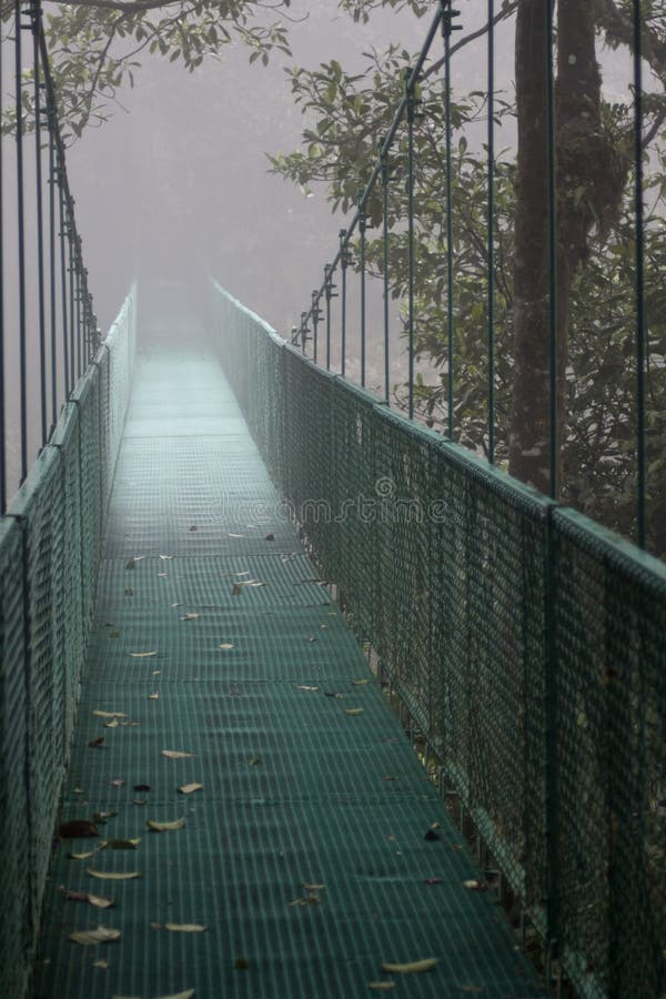 Hanging bridge in fog stock photo. Image of hanging, cloudy - 23666586