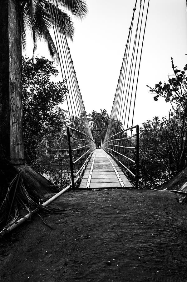 Hanging bridge stock image. Image of trees, hanging - 125361621