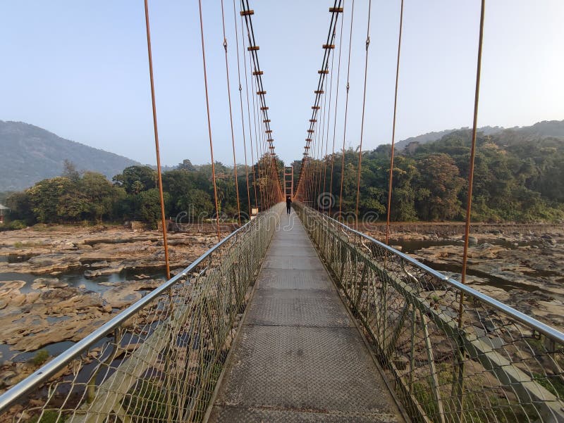 Hanging bridge in Kerala stock photo. Image of tree - 254409952