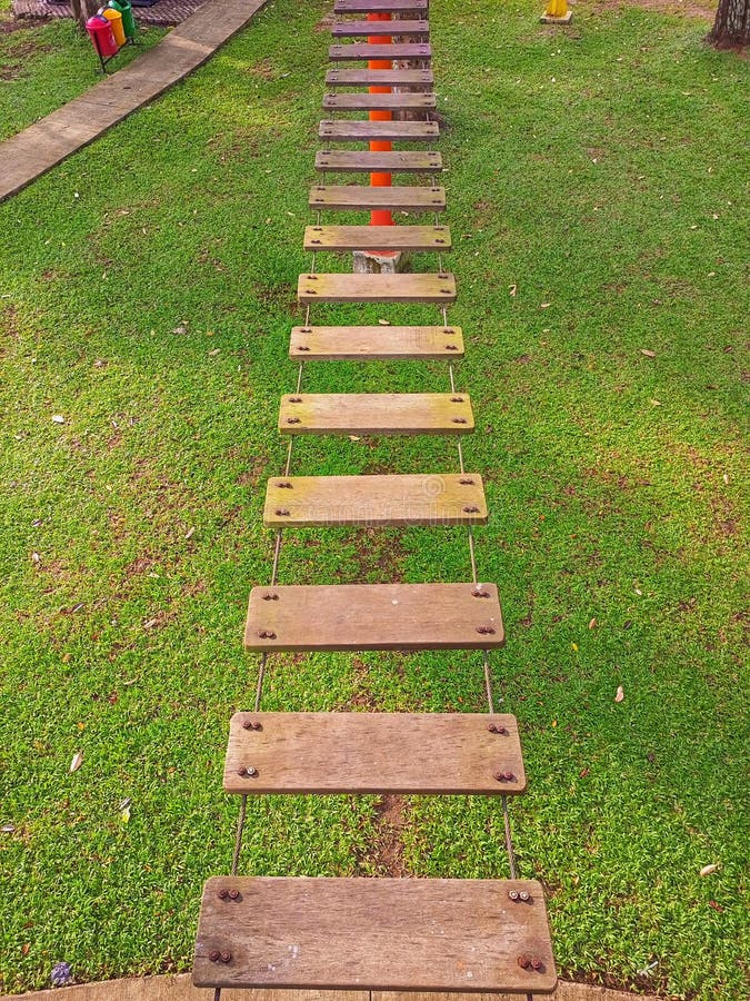 Hanging bridge stock photo. Image of adventure, flower - 256296212