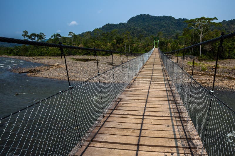 Hanging Bridge Over River Arajuno Stock Image - Image of jungle, ceibo ...