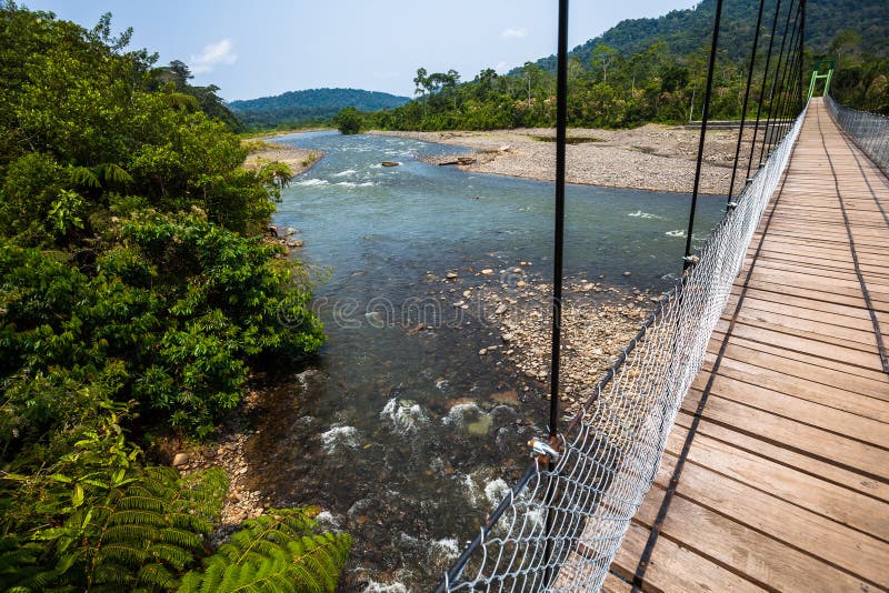 Hanging Bridge Over River Arajuno Stock Image - Image of rainforest ...