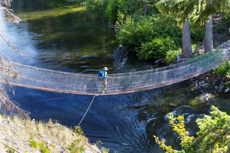 Hanging bridge stock image. Image of adventure, park - 254060681